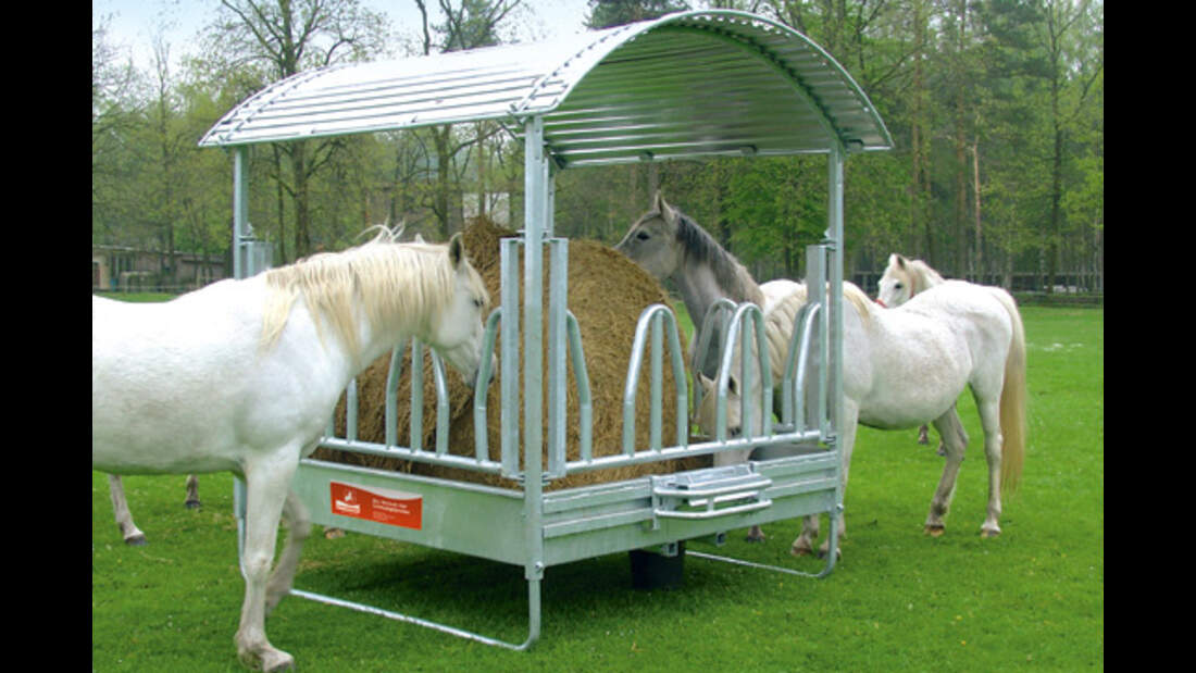 Obst und Gemüse als Pferdefutter - darauf müssen Sie achten | cavallo.de