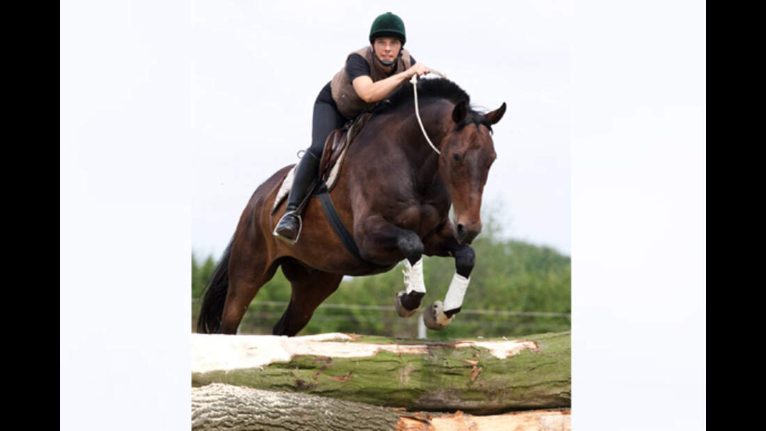 Profi-Tipps für Gebissloses Reiten | cavallo.de