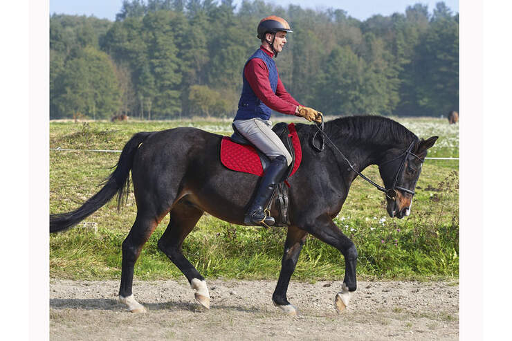 So reiten Sie Ihr Pferd locker | cavallo.de