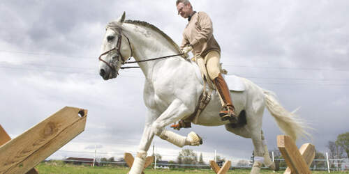 Cavaletti-Training: Die besten Übungen | cavallo.de