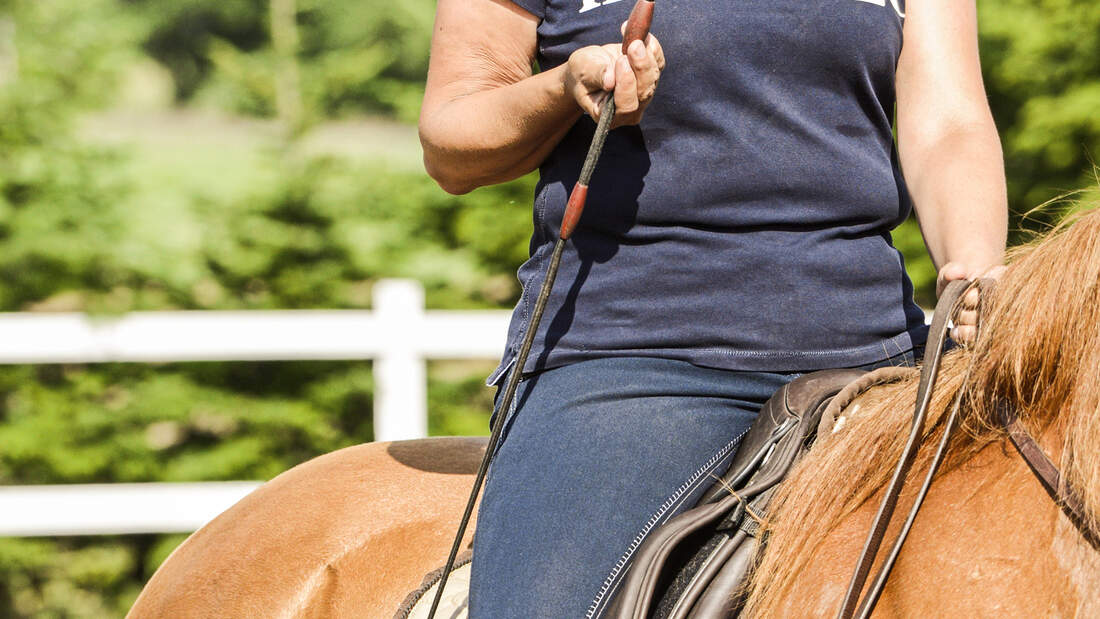 So reiten Sie besser: Einhändig reiten - cavallo.de