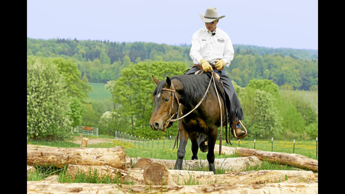 Westernreiten: So geht ein korrekter Spin | cavallo.de