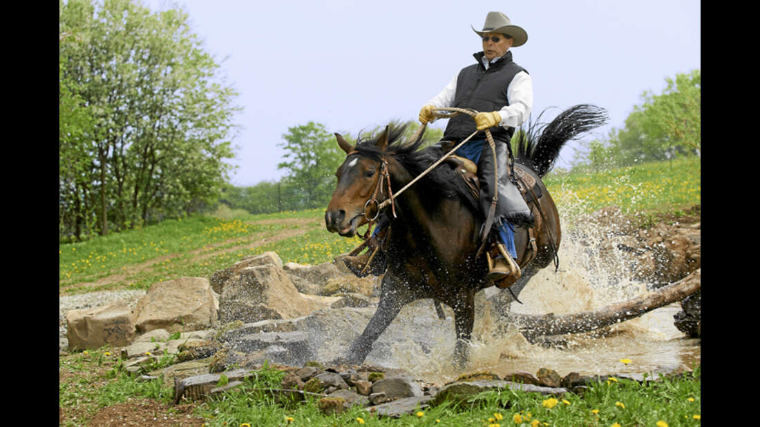Westernreiten: So geht ein korrekter Spin | cavallo.de