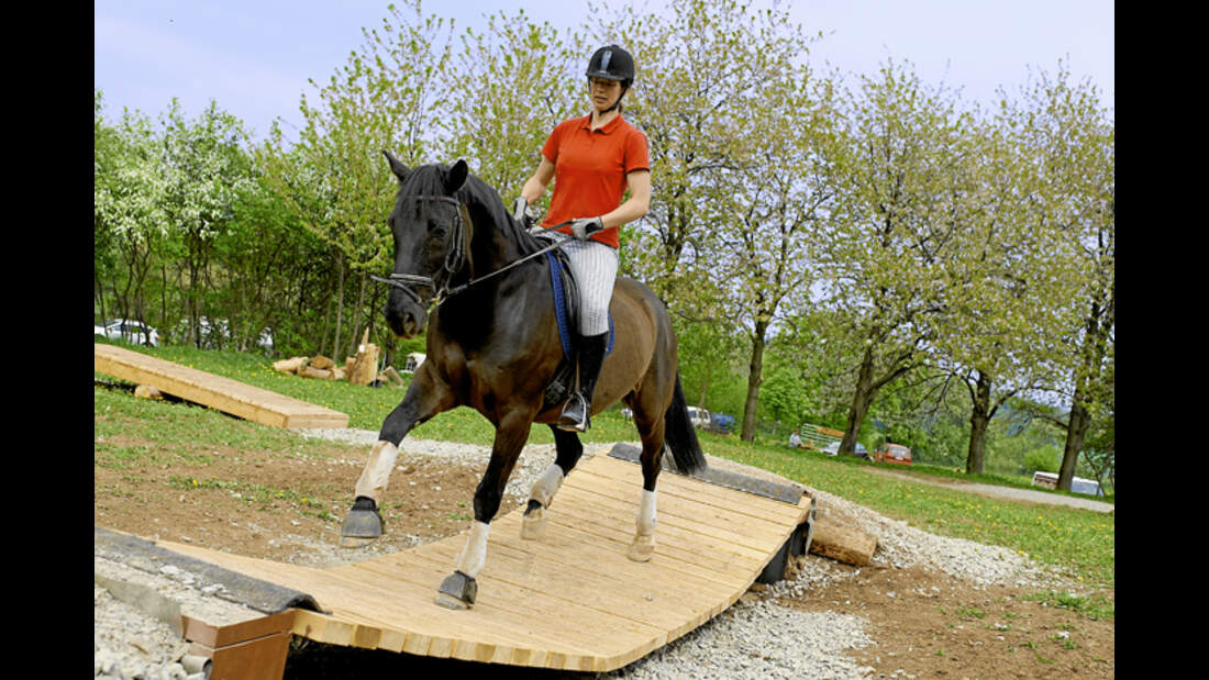 Westernreiten: So geht ein korrekter Spin | cavallo.de