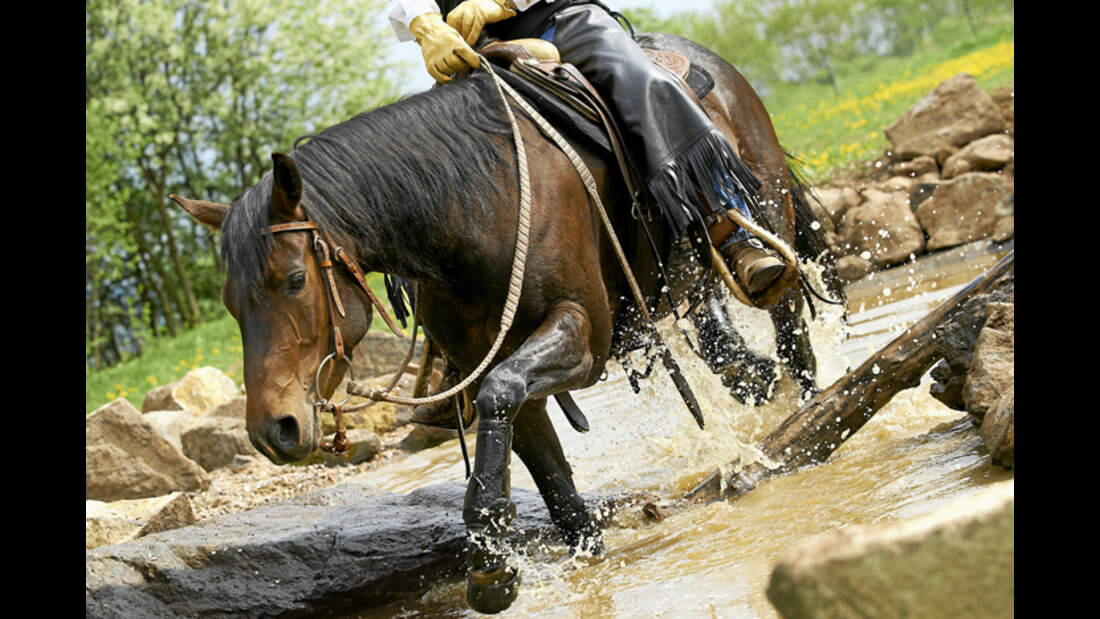 Westernreiten: So geht ein korrekter Spin | cavallo.de