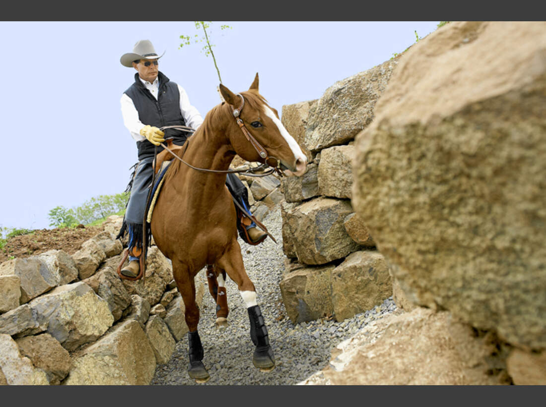 Westernreiten: So geht ein korrekter Spin - cavallo.de