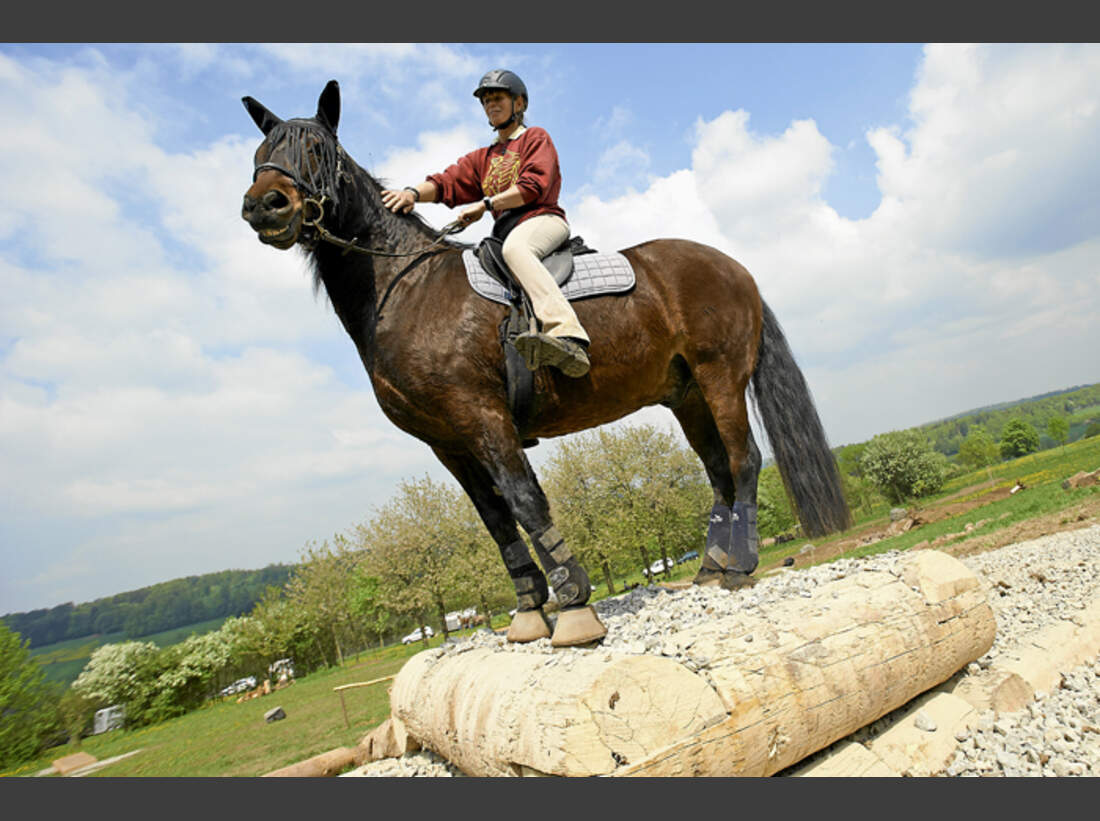 Westernreiten: So geht ein korrekter Spin - cavallo.de