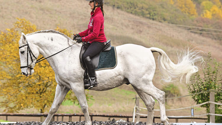 So galoppieren Sie entspannt an und durch | cavallo.de