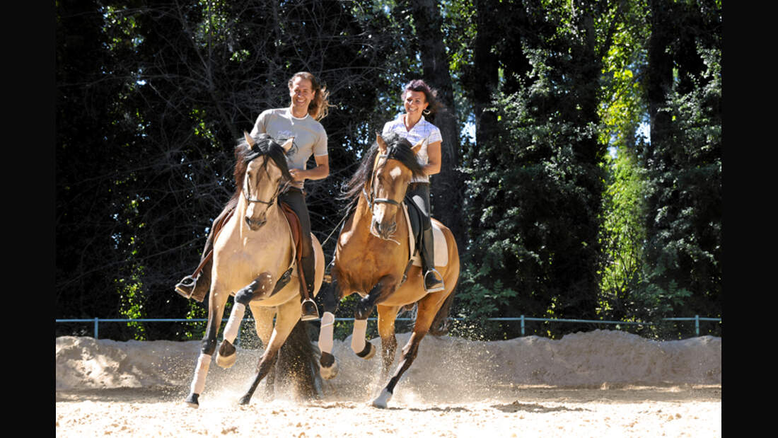 Seminar mit Frédéric Pignon und Magali Delgado in Celle | cavallo.de