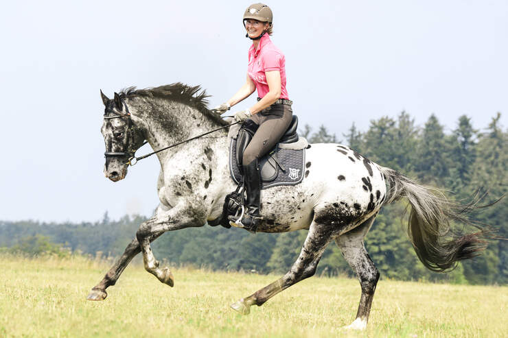 Tipps und Übungen: So lösen Sie Galopp-Probleme | cavallo.de