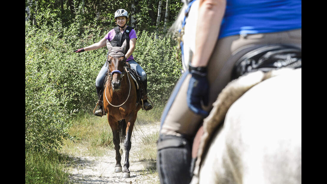 Wie galoppiere ich, ohne zu klemmen? | cavallo.de