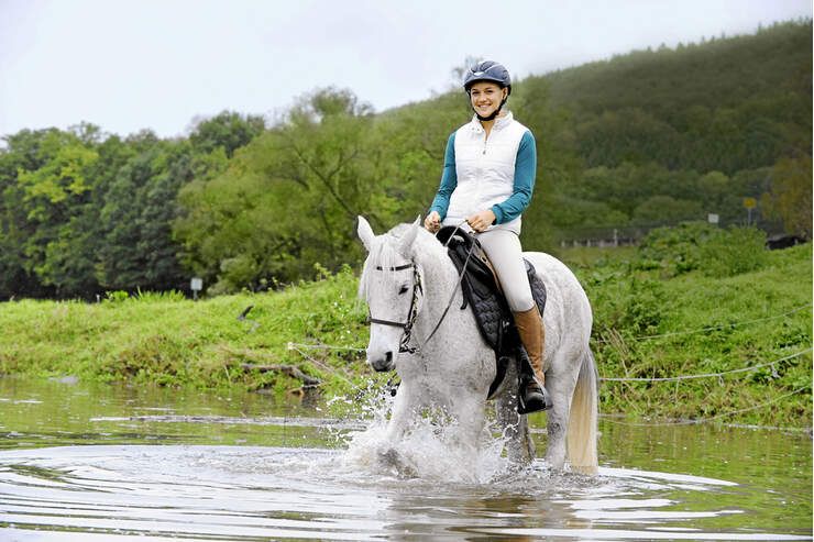 Harmonie von Pferd und Reiter | cavallo.de