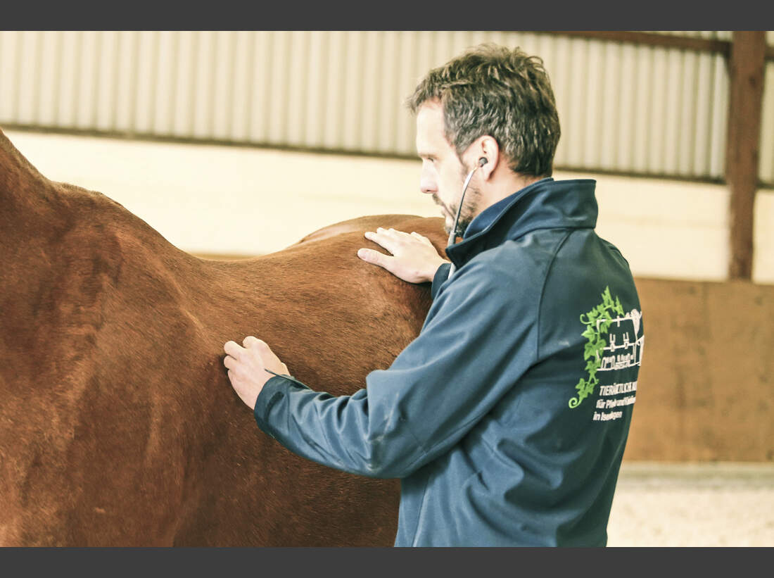 So läuft ein Lungen-Check ab - cavallo.de