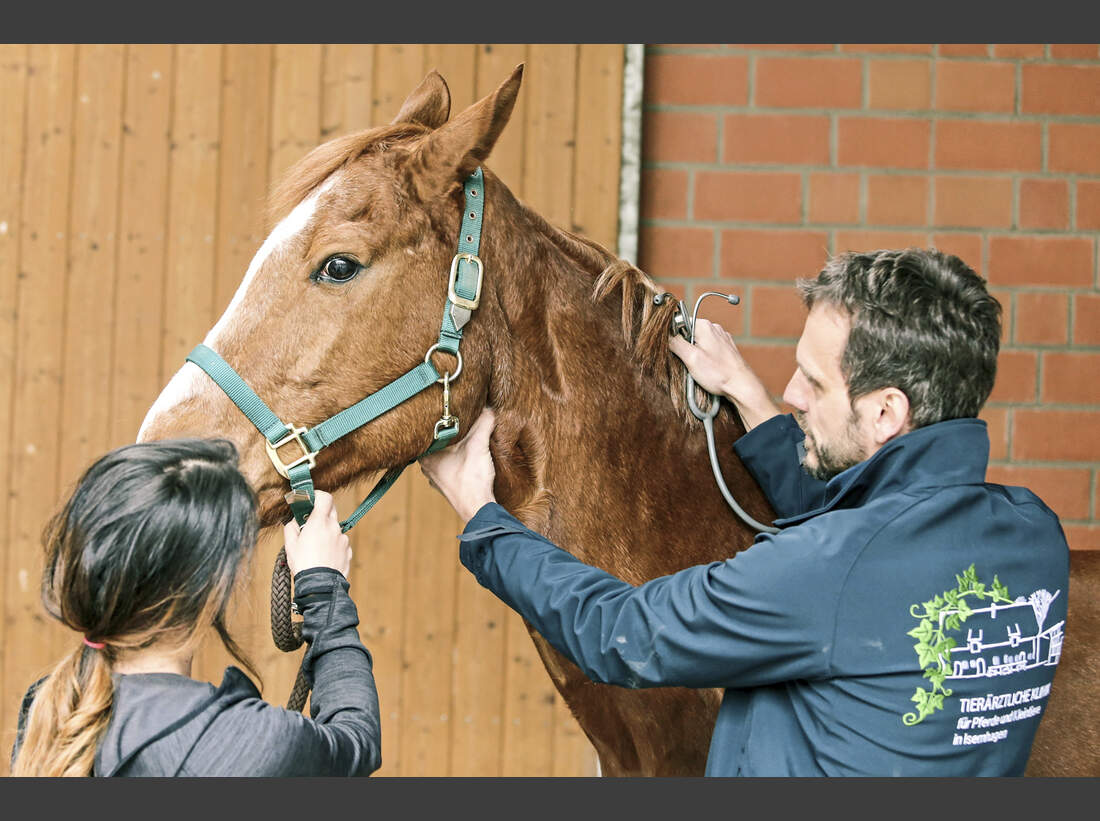 So läuft ein Lungen-Check ab - cavallo.de