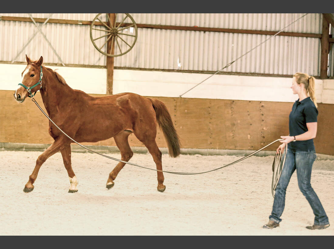 So läuft ein Lungen-Check ab - cavallo.de