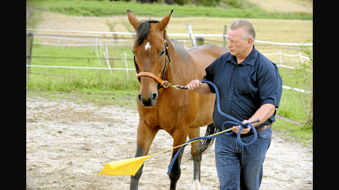 CAVALLO-Interview: Wie funktioniert das Trainingshalfter von Michael ...