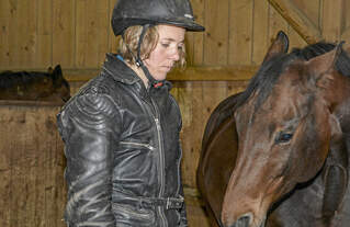 So fühlen Pferde | cavallo.de