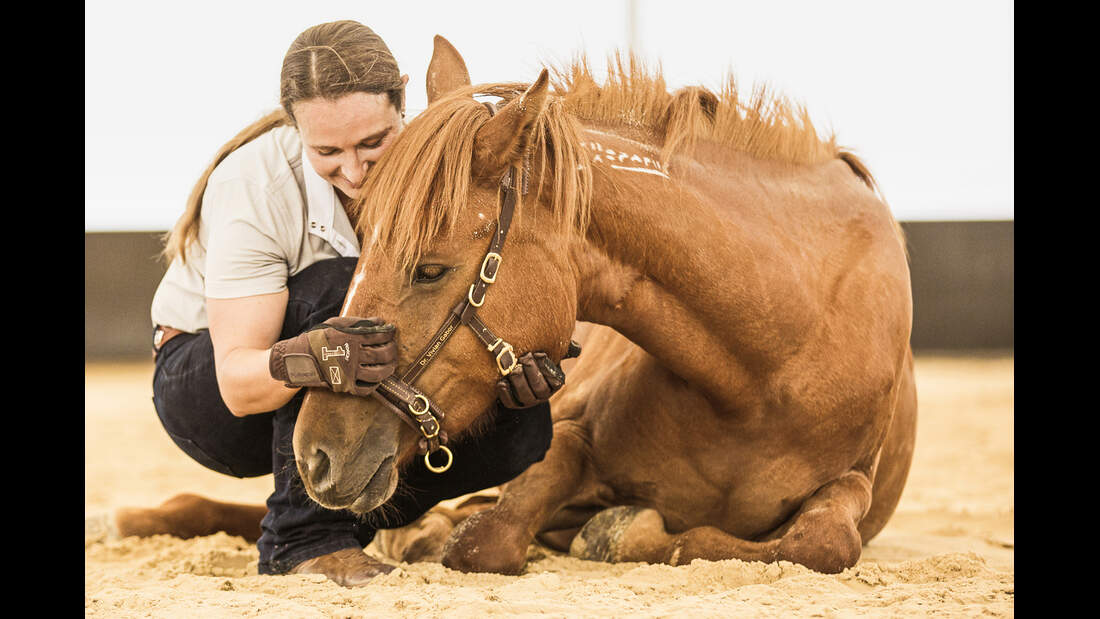 16 wilde Mustangs in 90 Tagen trainieren | cavallo.de