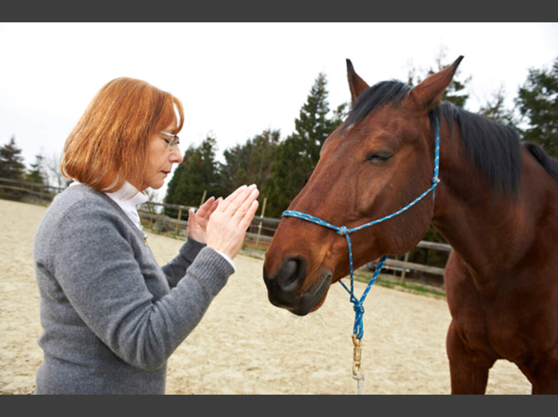 Reiki-Test: Heilen oder Hokuspokus? - cavallo.de