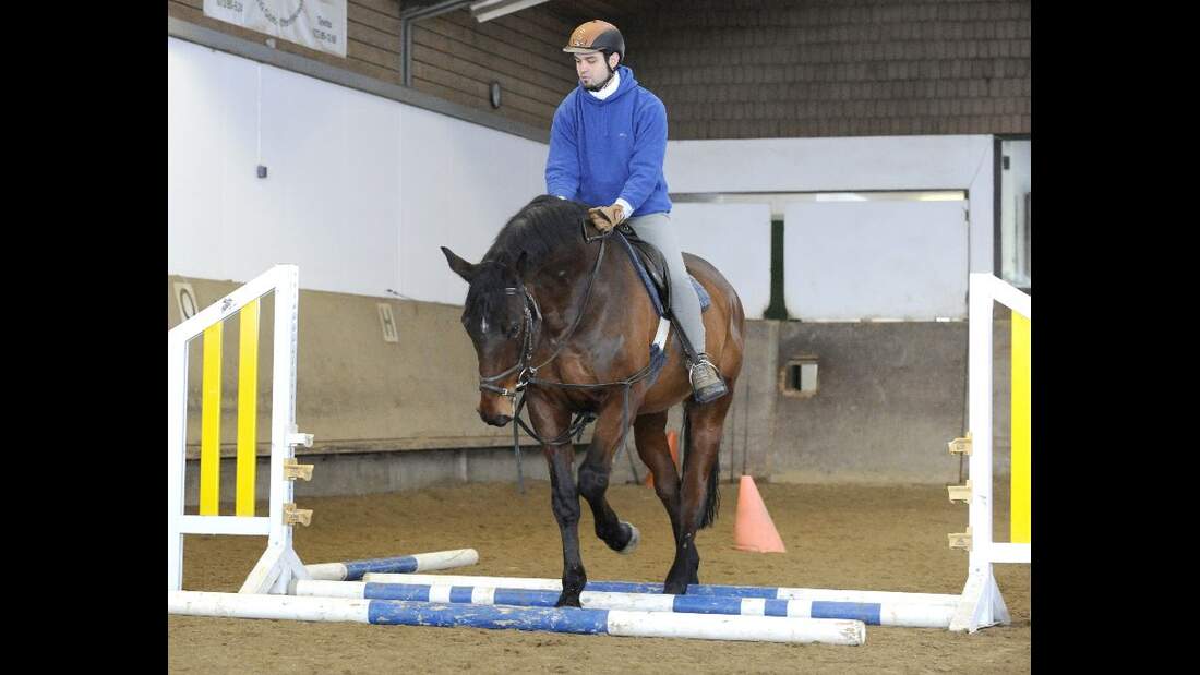 Reiten lernen – Grundlagen für Einsteiger | cavallo.de