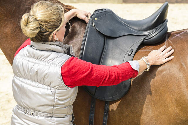 cavallo.de