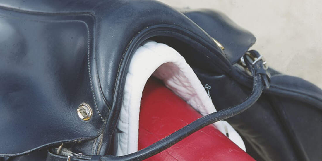 Der Aufbau eines Sattels und seine Form - cavallo.de