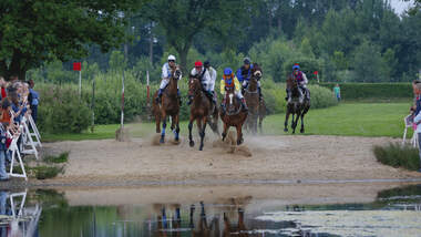 Galoppsport | cavallo.de
