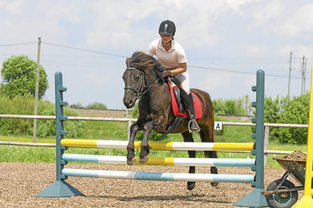 Wie beeinflussen sich Reiter und Pferd? | cavallo.de