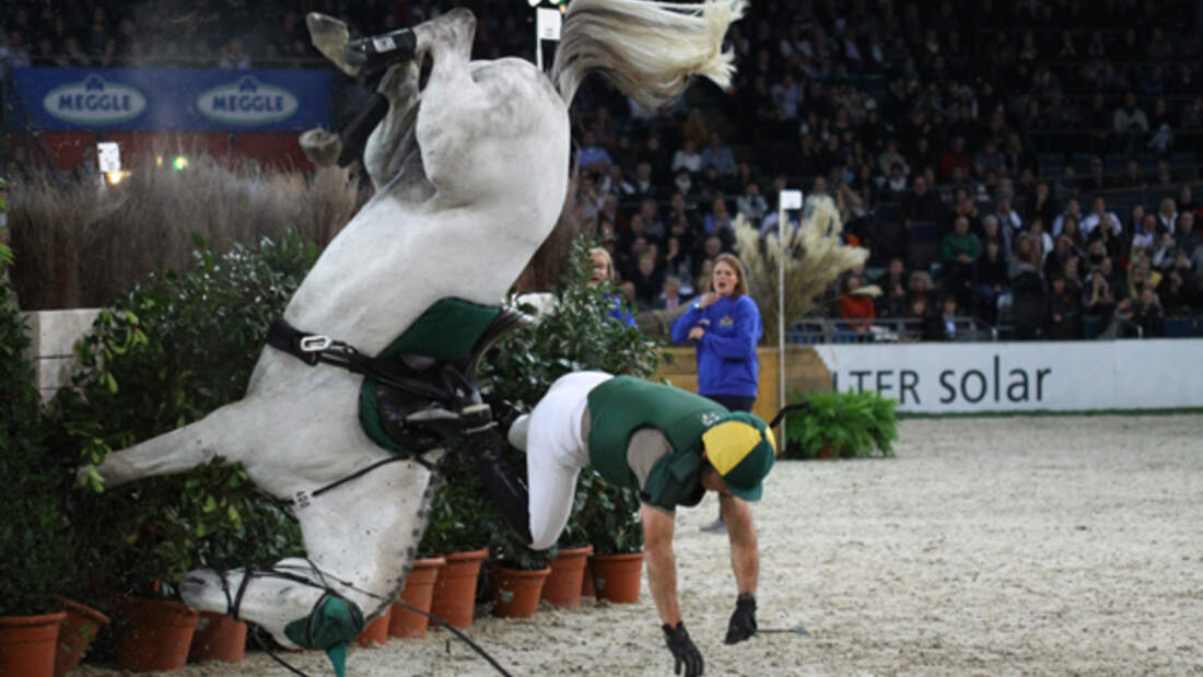 So fallen Reiter sicher vom Pferd - cavallo.de