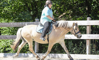 Reittraining - die besten Tipps - cavallo.de