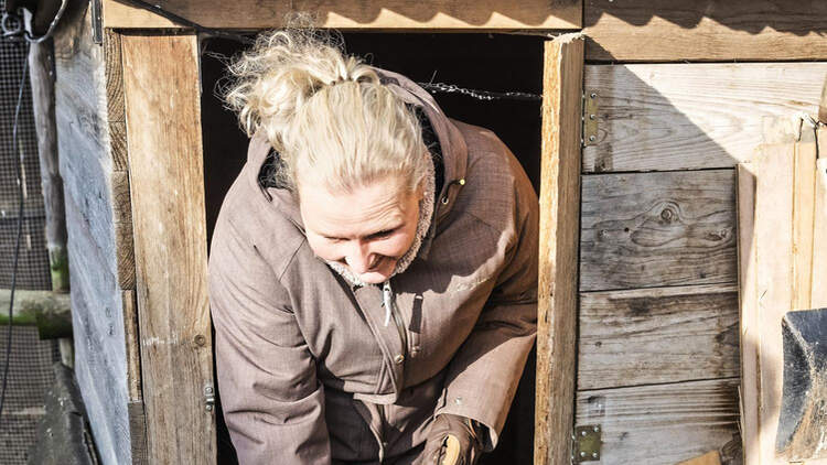 Wohnen mit Pferden | cavallo.de