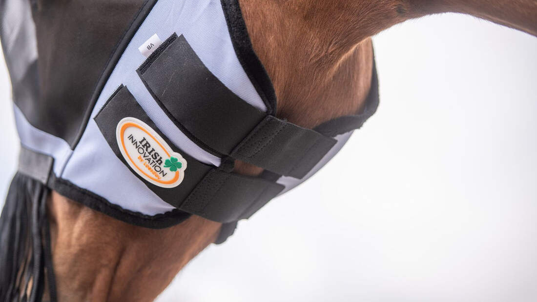 Fliegenmasken im Test: Welches Modell ist am besten? | cavallo.de