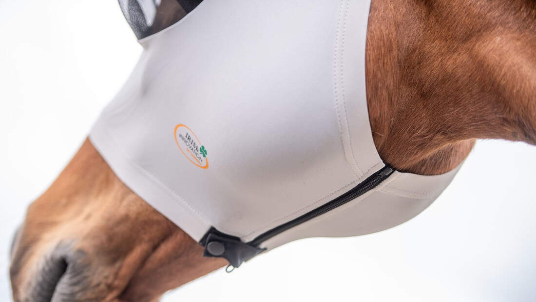 Fliegenmasken im Test: Welches Modell ist am besten? | cavallo.de