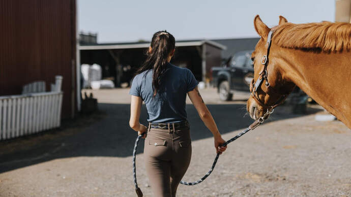 CAVALLO Magazin | cavallo.de