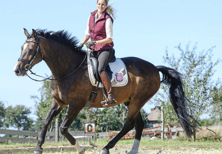 Gefühlvoll reiten lernen - so geht's | cavallo.de