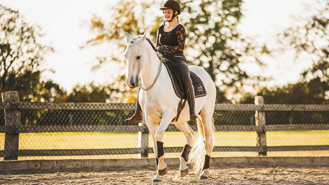 Dressurlektionen am Halsring reiten - So geht's! | cavallo.de