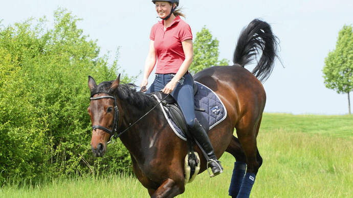 CAVALLO Magazin | cavallo.de