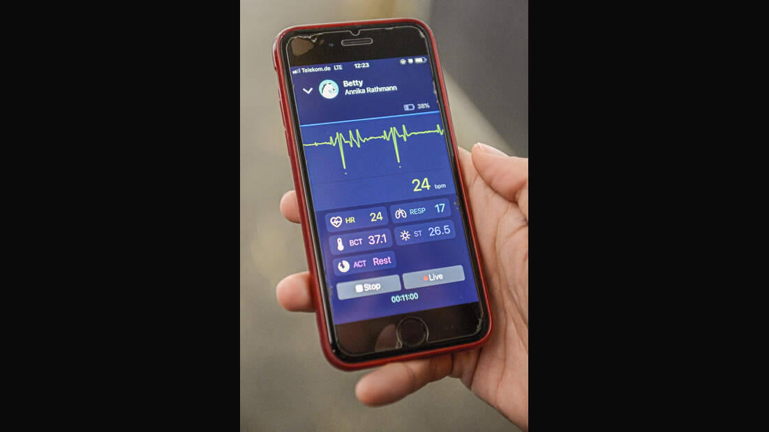 Piavet-System: Der digitale Blick ins Pferd | cavallo.de
