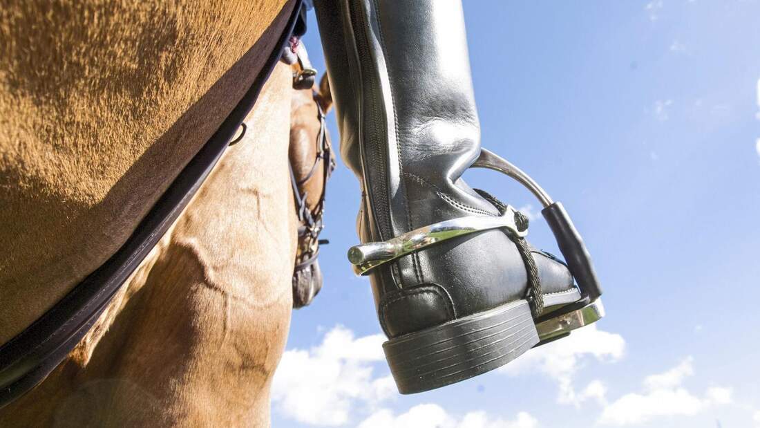 Das Aus für die Sporenpflicht! | cavallo.de