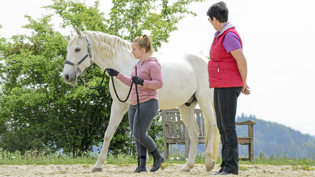 Reiten lernen – Grundlagen für Einsteiger | cavallo.de