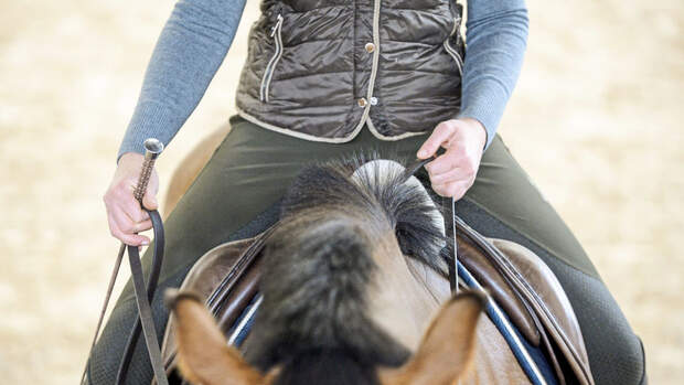 Tipps: Die richtigen Hilfen für Seitengänge | cavallo.de