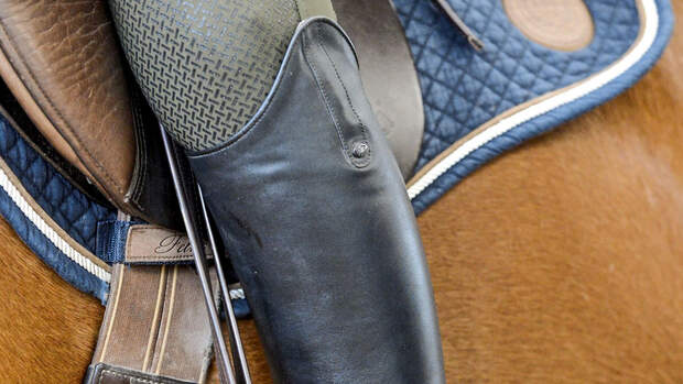 Tipps: Die richtigen Hilfen für Seitengänge | cavallo.de