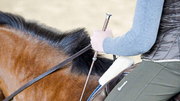 Tipps: Die richtigen Hilfen für Seitengänge | cavallo.de