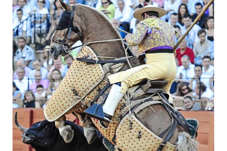 Stierkampf für die Reitkunst? | cavallo.de