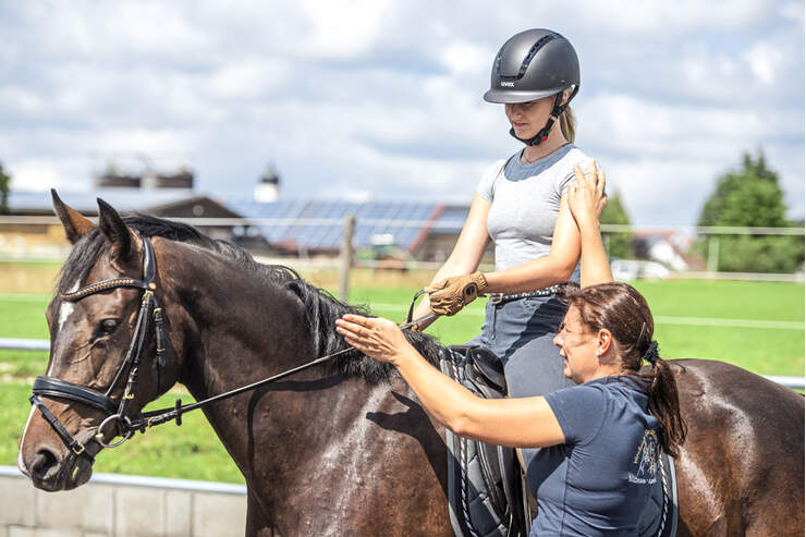 Working Equitation: Drei Übungen für Seitengänge | cavallo.de