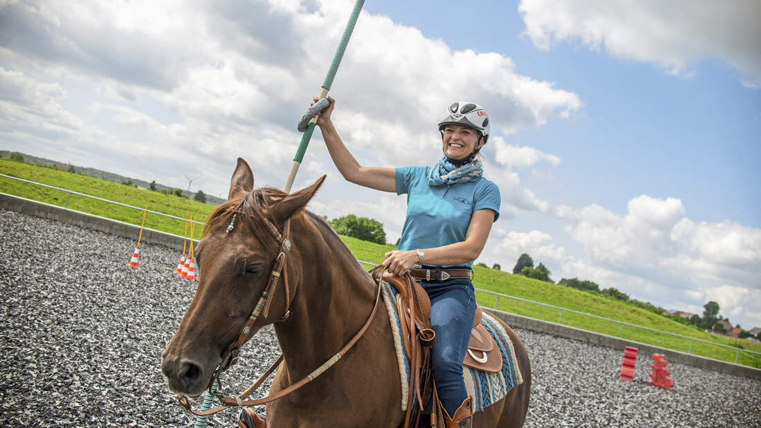 4 Übungen für Working Equitation - cavallo.de