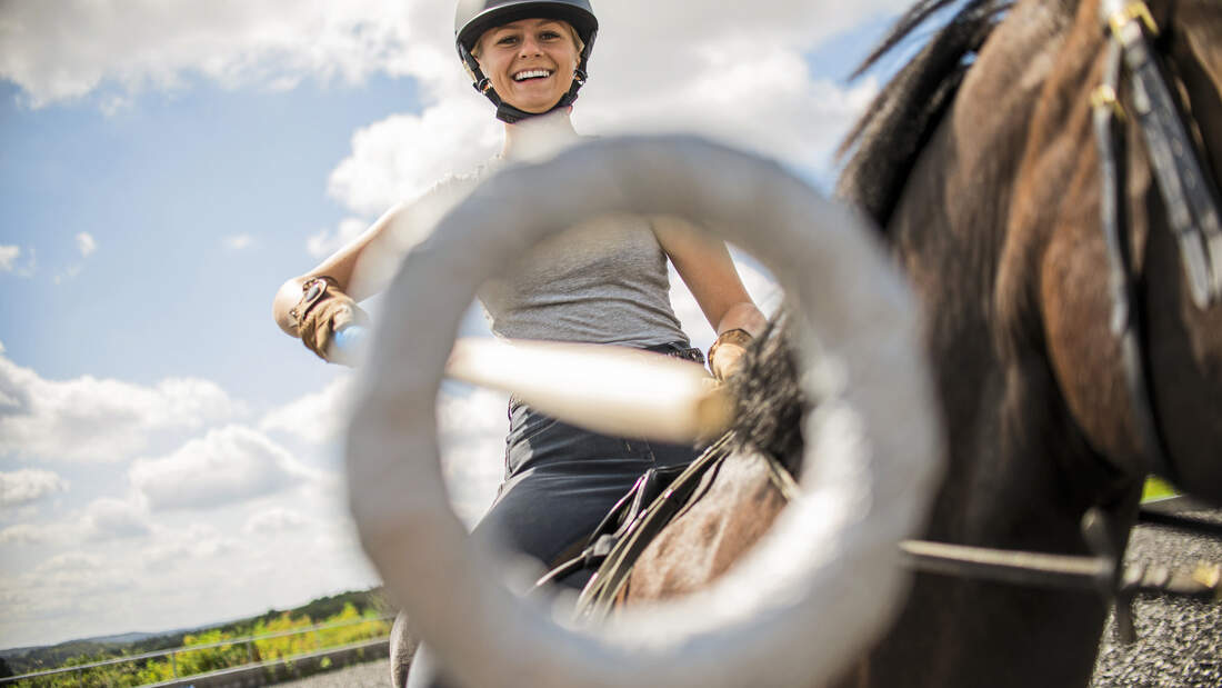 4 Übungen für Working Equitation - cavallo.de