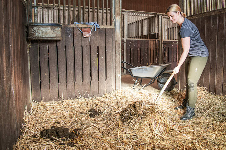 So misten Sie richtig | cavallo.de