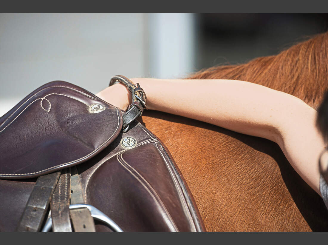 Sättel für Spezialfälle: Der richtige Sattel für besondere Pferderücken ...