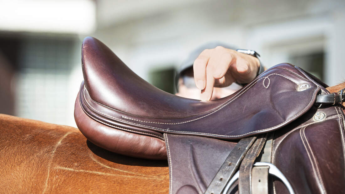 Sättel für Spezialfälle: Der richtige Sattel für besondere Pferderücken ...